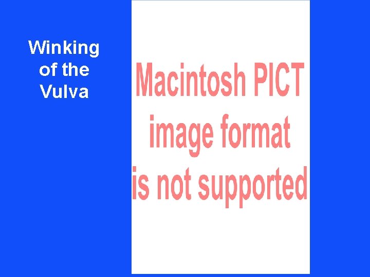 Animal Science 434 Lecture 14 Sexual Behavior a