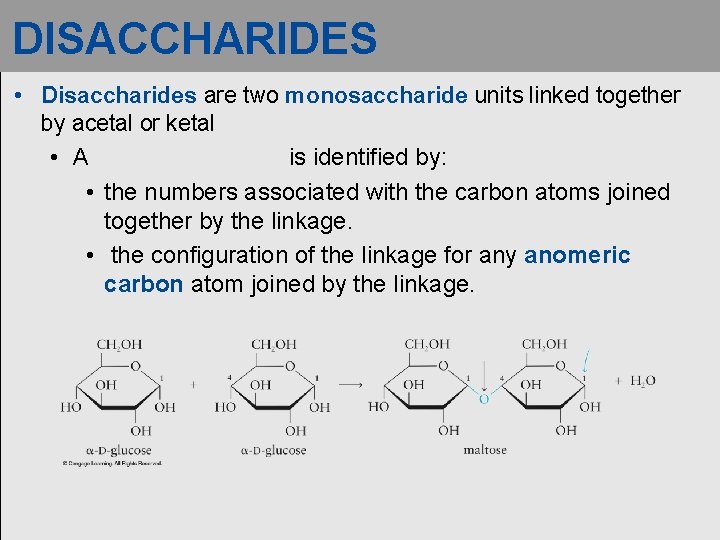 LECTURE 19 Wednesday 32217 DISACCHARIDES Disaccharides are two