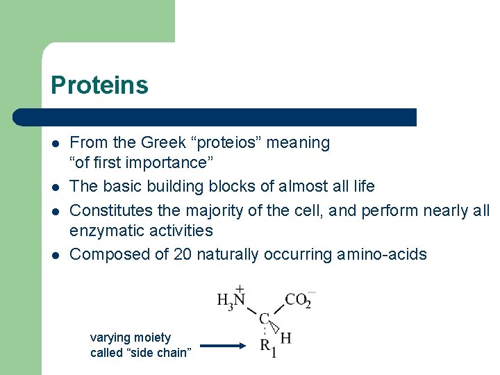 Protein Structure in a nutshell Guy Ziv December