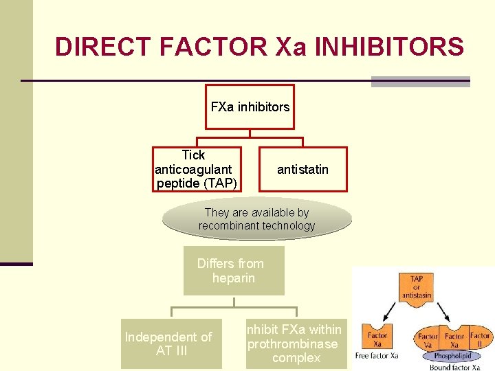 Consequences of thrombus consequences angina Myocardial infaction stroke