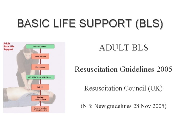 Maintaining Oxygenation Phase 2 Medical Students Respiratory System