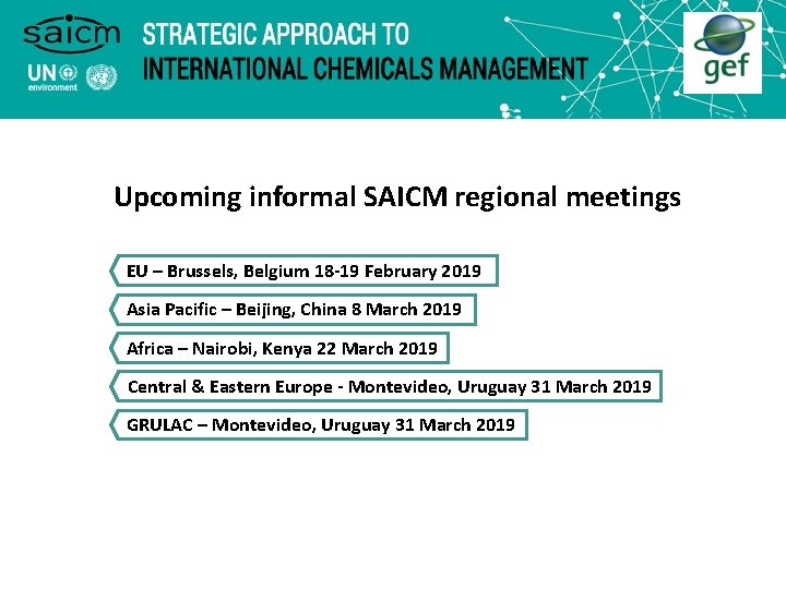 Introduction SAICM Global Best Practices on Emerging Chemical