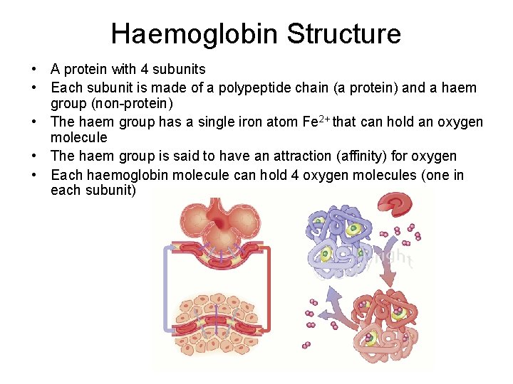 Carriage of Oxygen Describe the role of haemoglobin