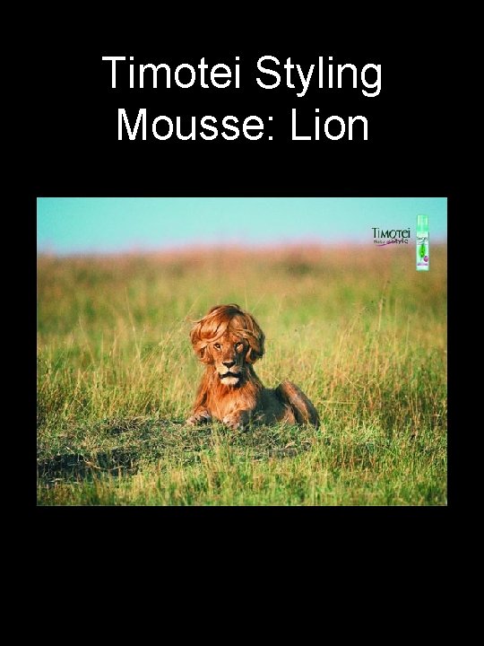 What product is being advertised in each image