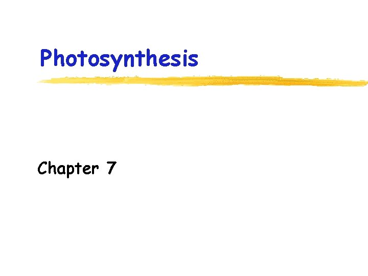 Photosynthesis Chapter 7 Environment as a System Observations