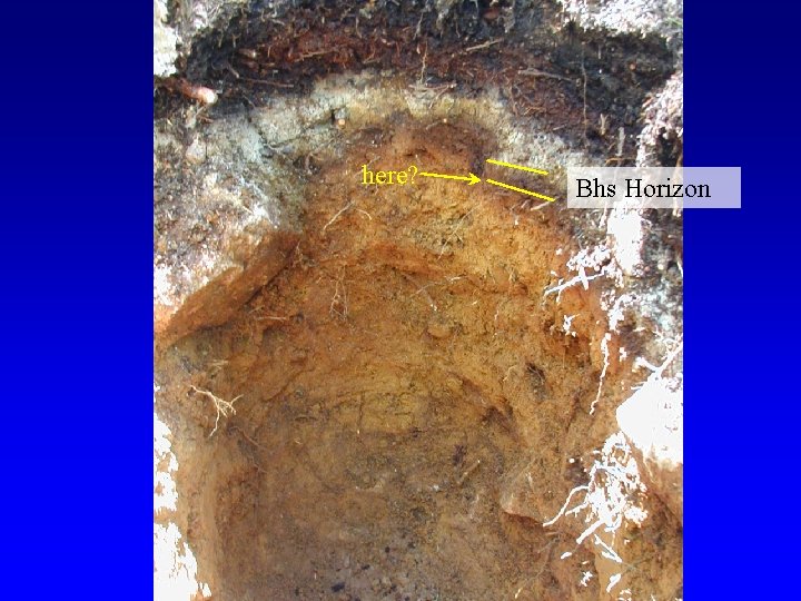 Soil Chemistry and the Recovery of Sensitive Watersheds