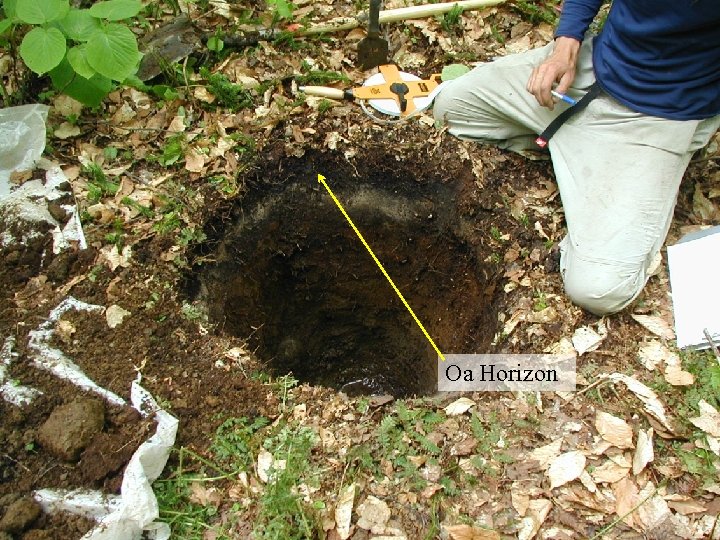 Soil Chemistry and the Recovery of Sensitive Watersheds