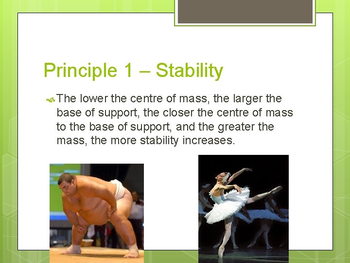 Principles of Biomechanical Analysis PSE 4 U Review