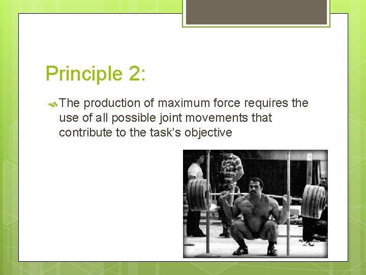 Principles of Biomechanical Analysis PSE 4 U Review