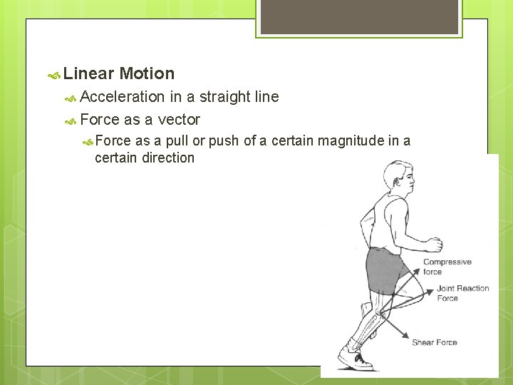 Principles of Biomechanical Analysis PSE 4 U Review