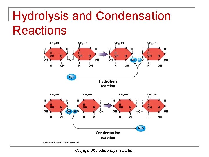 Chapter 10 Water and the Electrolytes At what