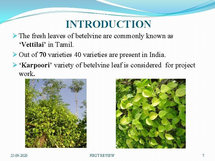 COMPUTER AIDED DISEASES IDENTIFICATION FOR BETEL LEAF PHASE