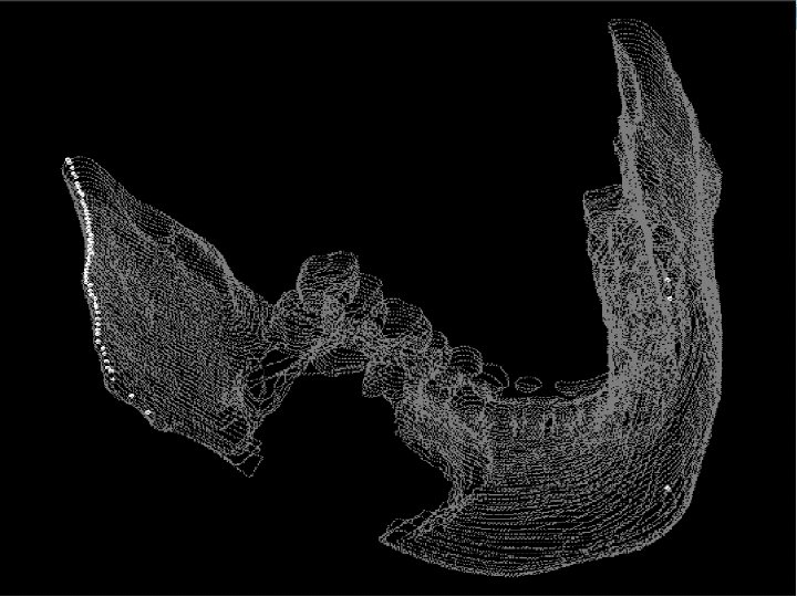 Euclideon Unlimited Detail Nikolai Hart MIS 304 October
