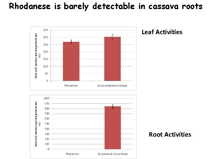 Reducing CyanideDependent ROS Production in Transgenic Cassava Roots