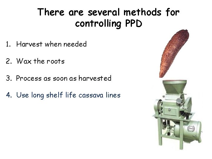 Reducing CyanideDependent ROS Production in Transgenic Cassava Roots