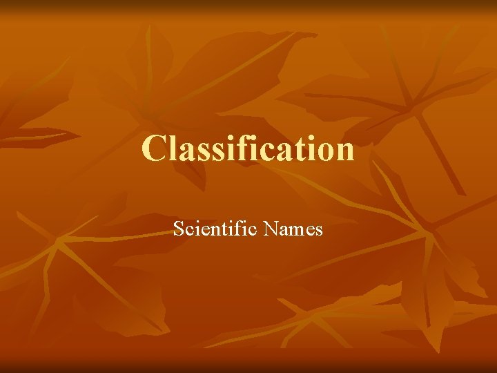 Classification Scientific Names Binomial Nomenclature n Two name