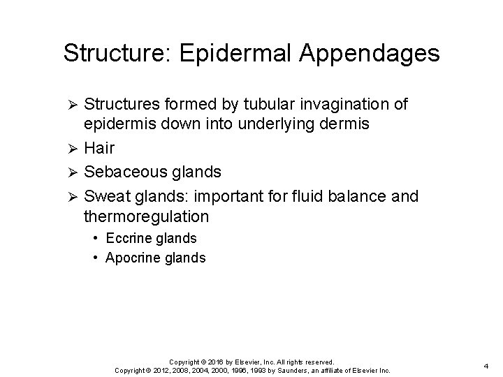 Chapter 12 Skin Hair and Nails Copyright 2016