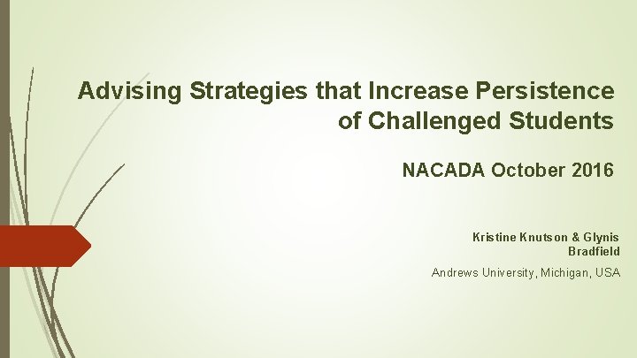 Advising Strategies that Increase Persistence of Challenged Students