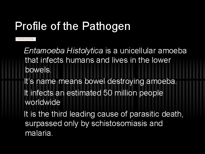 Entamoeba Histolytica The Beast of the Bowels Profile