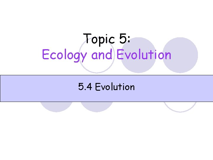 Topic 5 Ecology and Evolution 5 4 Evolution