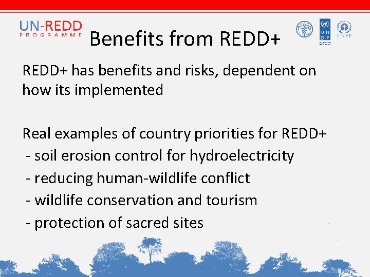 Where and how can REDD deliver most benefits