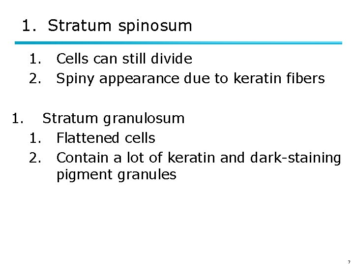 Chapter 05 Lecture Outline See separate Power Point