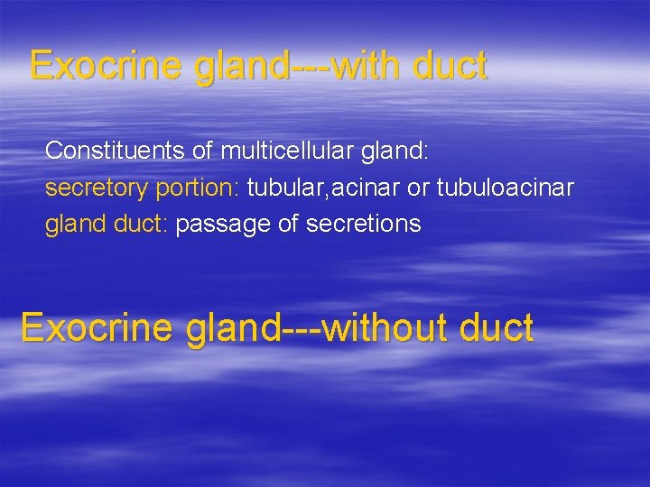 The Digestive System Exocrine glandwith duct Constituents of