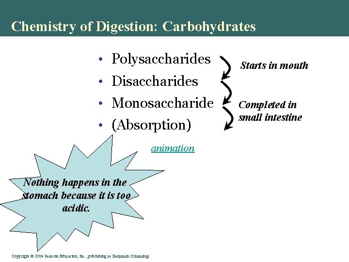 13 1 Chemistry of Digestion Carbohydrates Digestion is