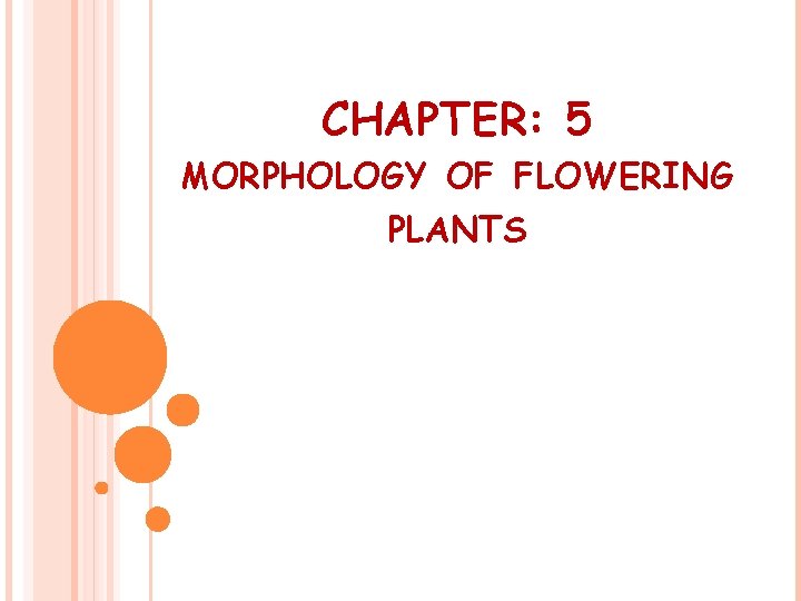 CHAPTER 5 MORPHOLOGY OF FLOWERING PLANTS MORPHOLOGY Deals
