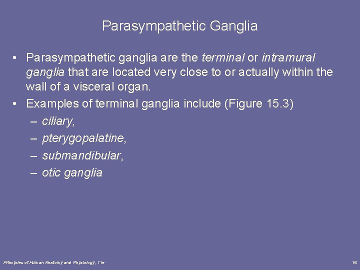 Chapter 15 The Autonomic Nervous System Lecture Outline