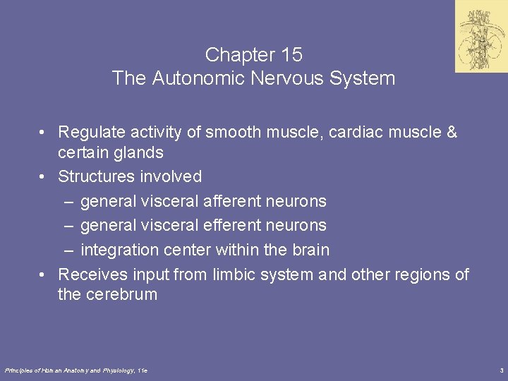 Chapter 15 The Autonomic Nervous System Lecture Outline