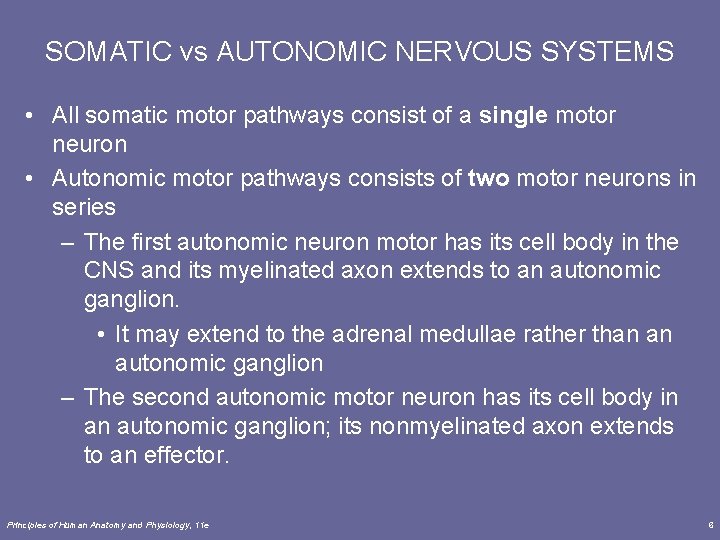 Chapter 15 The Autonomic Nervous System Lecture Outline