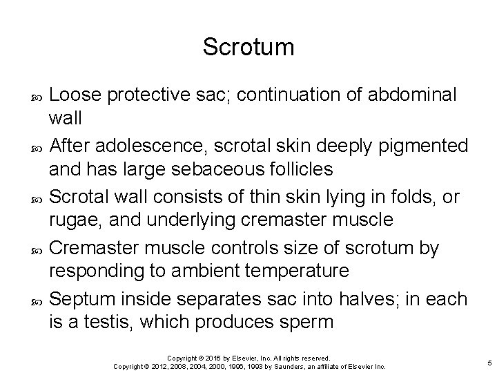 Chapter 24 Male Genitourinary System Copyright 2016 by