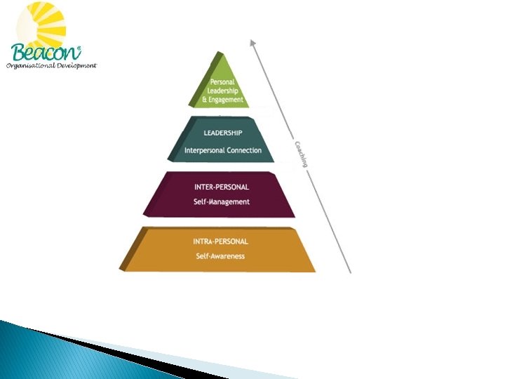 Emotional Capital Why emotional intelligence can matter more