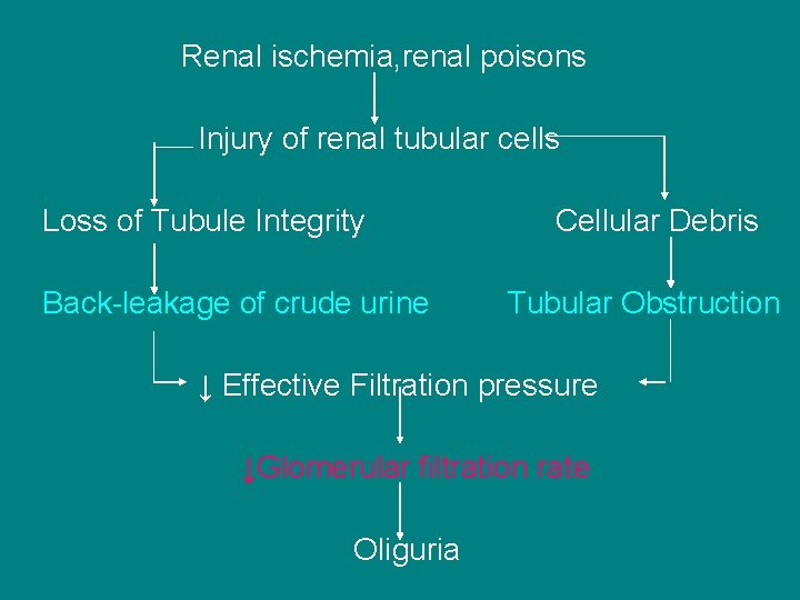 Chapter 13 Renal Failure 1 Concept Introduction Kidney