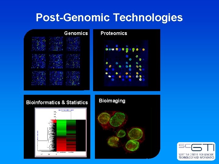 PostGenomic Technologies Genomics Bioinformatics Statistics Proteomics ...