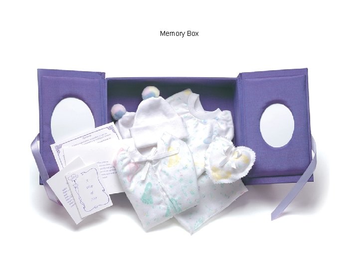 Grief and Loss in the Childbearing Family Causes