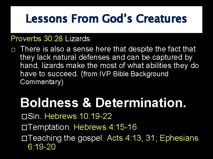 LESSONS FROM GODS CREATURES Proverbs 30 24 28