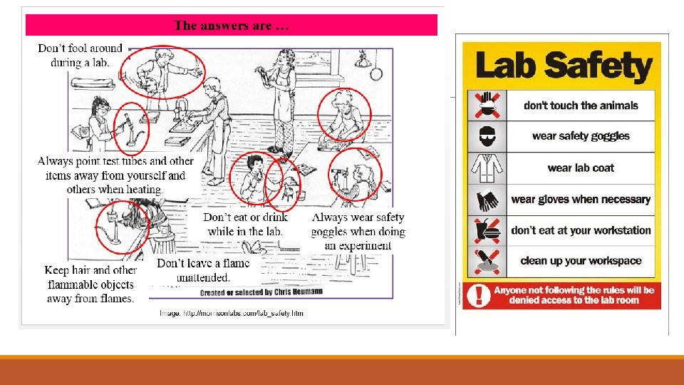 PHA 297 Laboratory Safety WHY SAFETY Science is