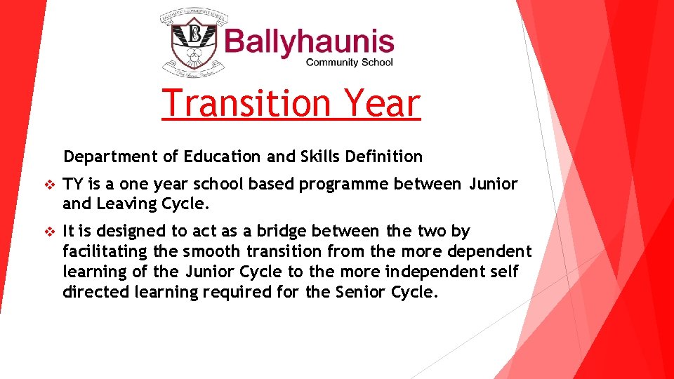 Transition Year Department of Education and Skills Definition