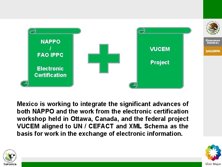 Single Window Mexican Foreign Trade VUCEM NPPO of