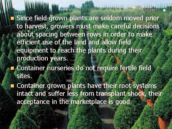 Chapter 21 Nursery Production Techniques n Nursery plants