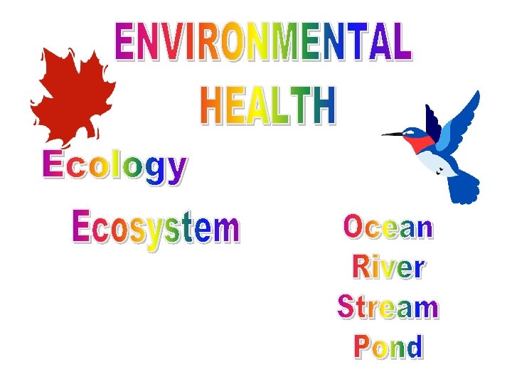 Jared Mason Diamond American Scientist and Author Tragic