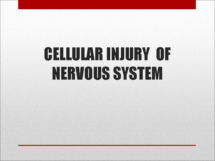 Cellular aspects of Nervous System Injury Pathology of