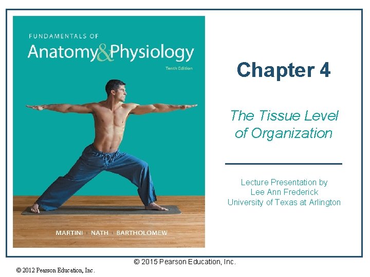 Chapter 4 The Tissue Level of Organization Lecture