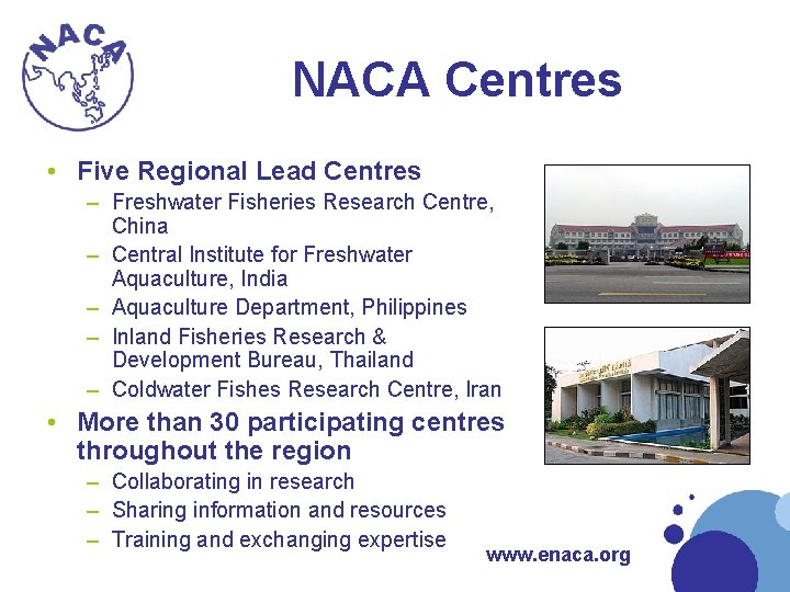 Network of Aquaculture Centres in AsiaPacific www enaca