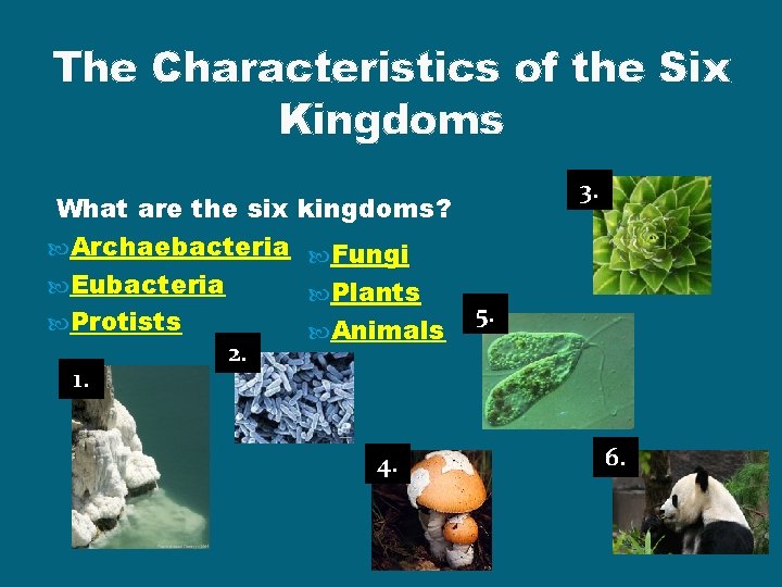 How to set up journal What I know