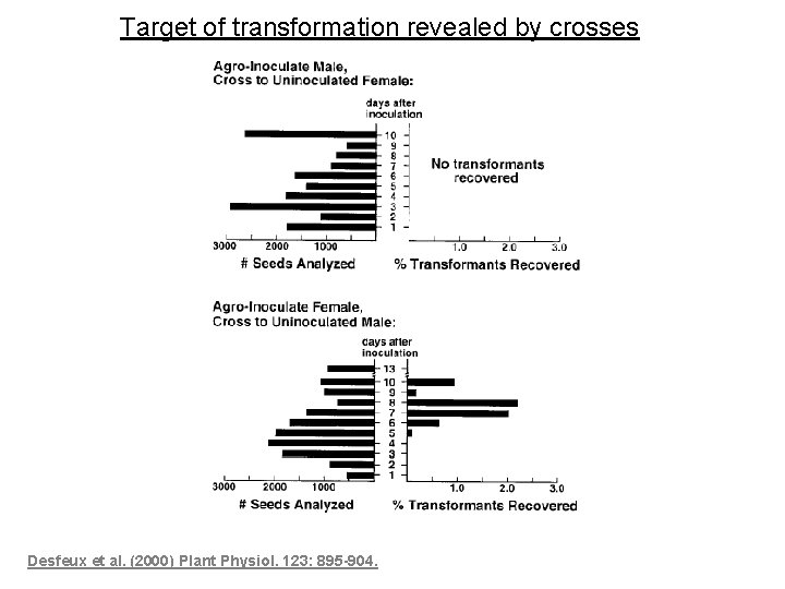 In planta transformation of Arabidopsis Vacuum infiltration method