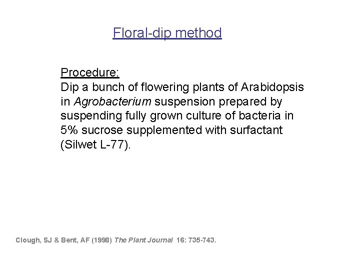 In planta transformation of Arabidopsis Vacuum infiltration method