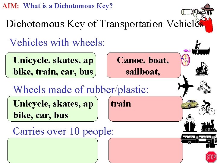 AIM What is a Dichotomous Key VOCABULARY Classification